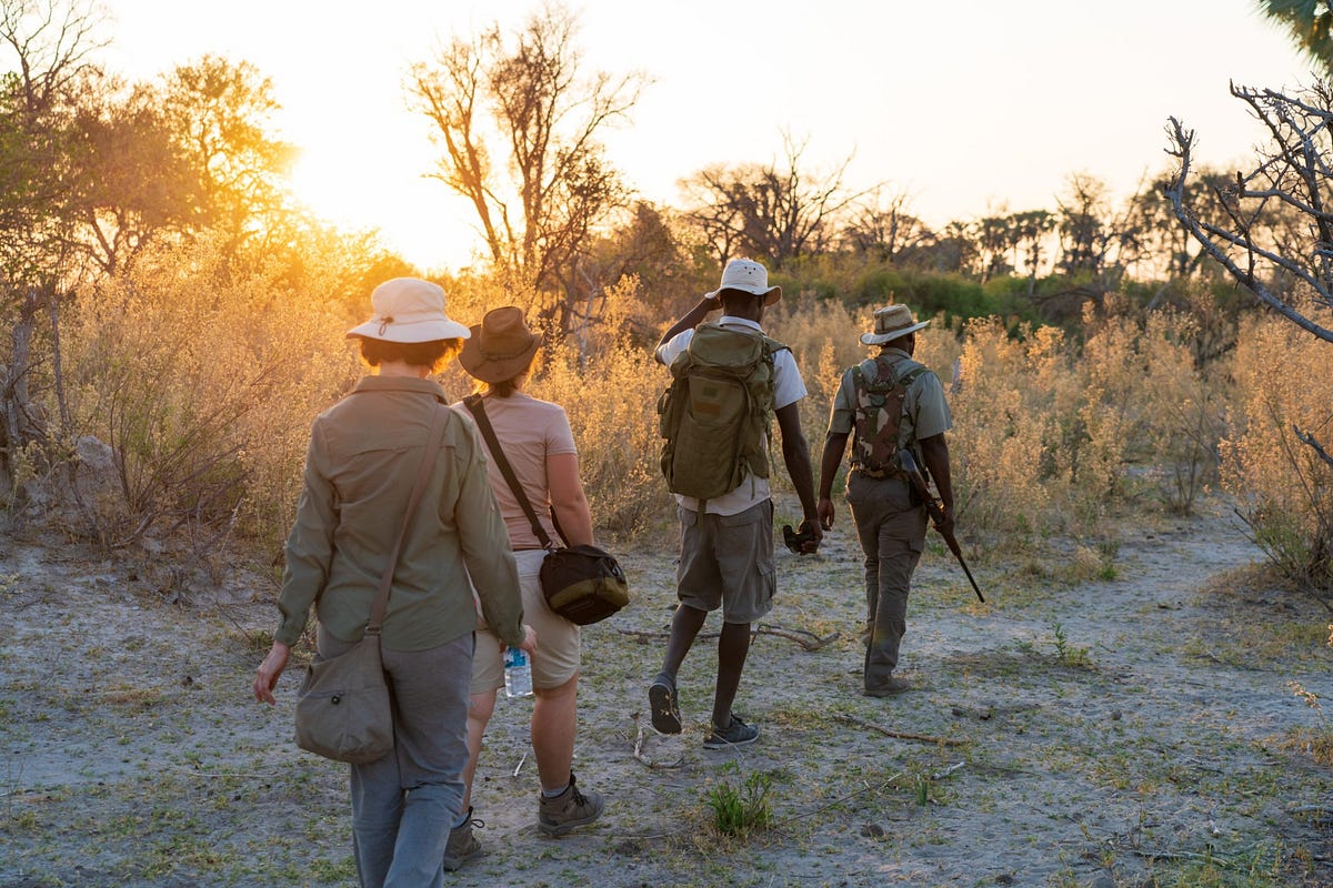 Wildlife up close guided walking safaris. | by FAHARI SAFARI | Aug ...
