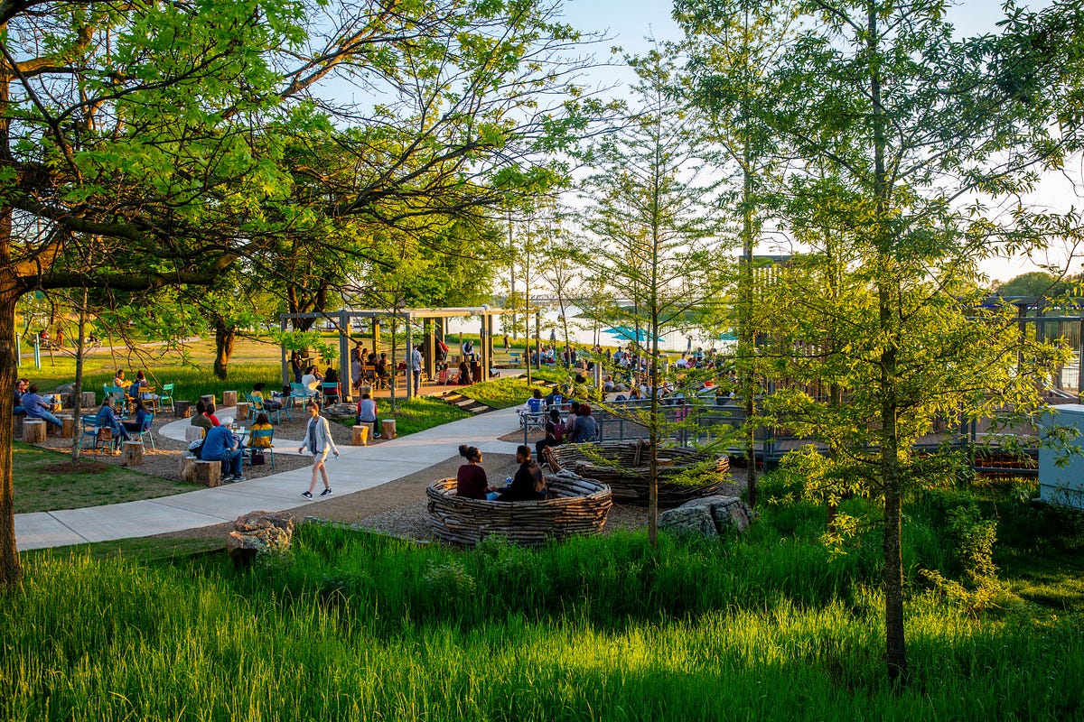 The tree-mendous environmental benefit of the riverfront canopy | by ...