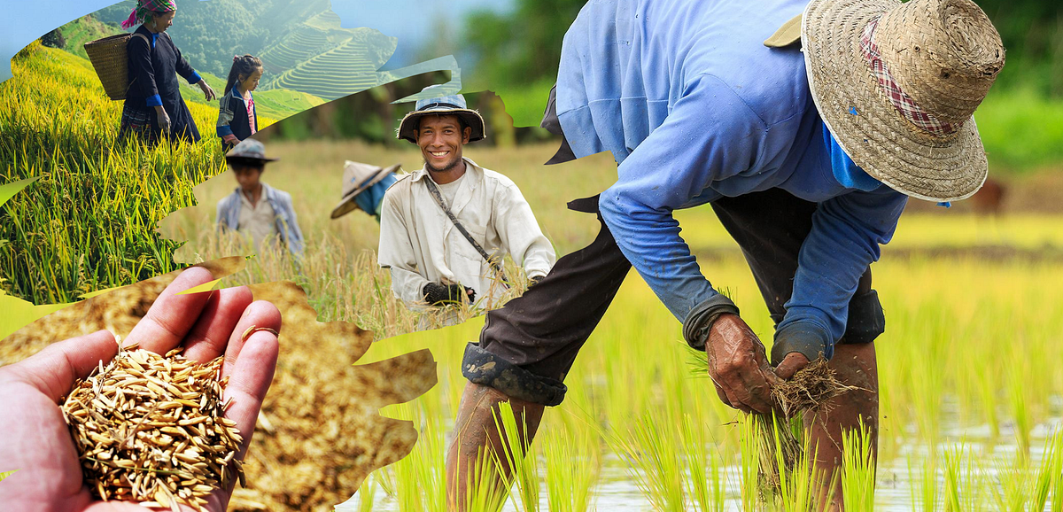 Agriculture is a neglected regulated profession in the Philippines | by ...