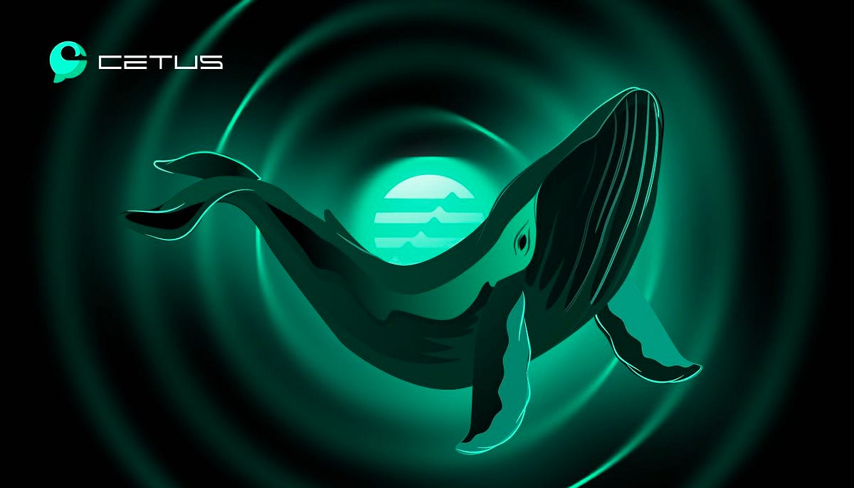 Tutorial Article introducing how to swap and add liquidity on Cetus ...