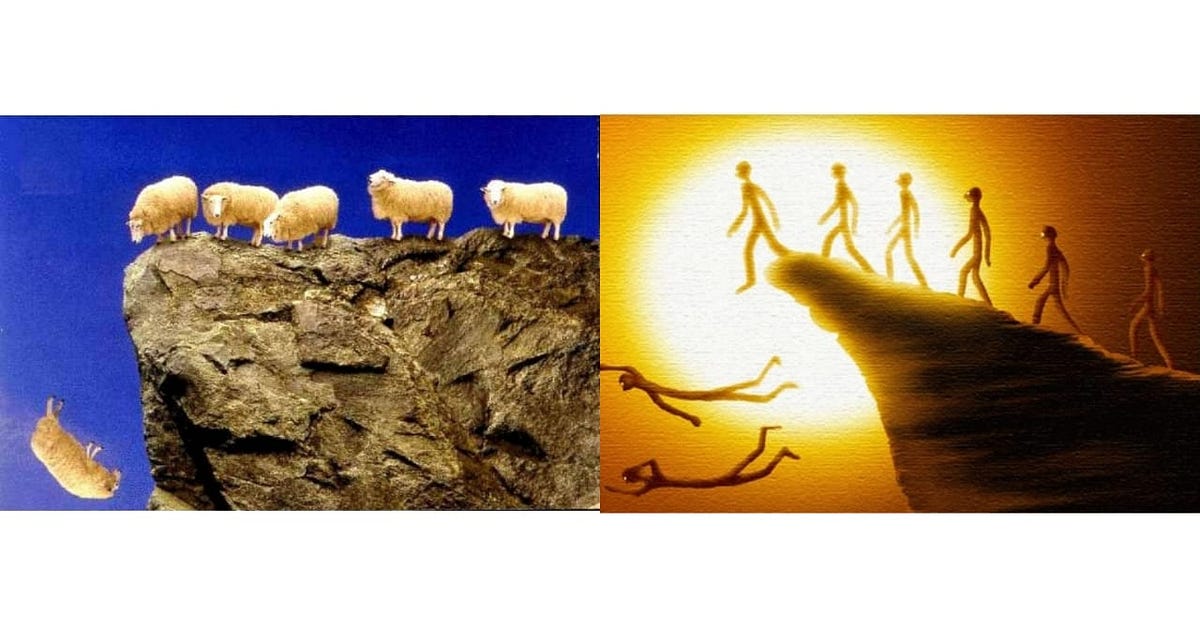 Herd Mentality. The trap of thinking that people often… | by Daivee ...