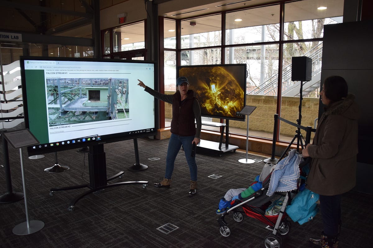 A learning environment. Palmyra Cove Nature Park is ready for… | by ...