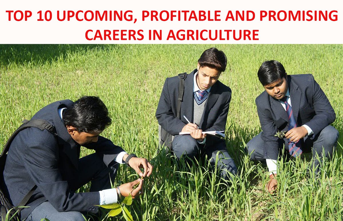 Top 10 Upcoming, Profitable, and Promising Careers in Agriculture | by ...