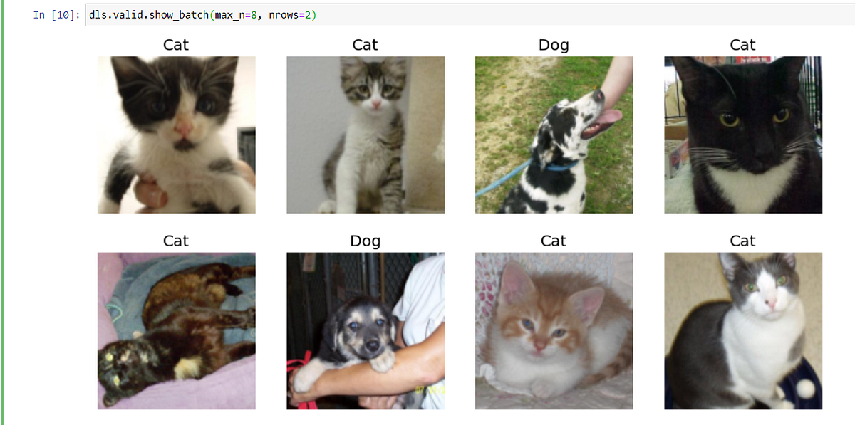 State of the Art Image Classifier. | by Parichay Mago | Medium