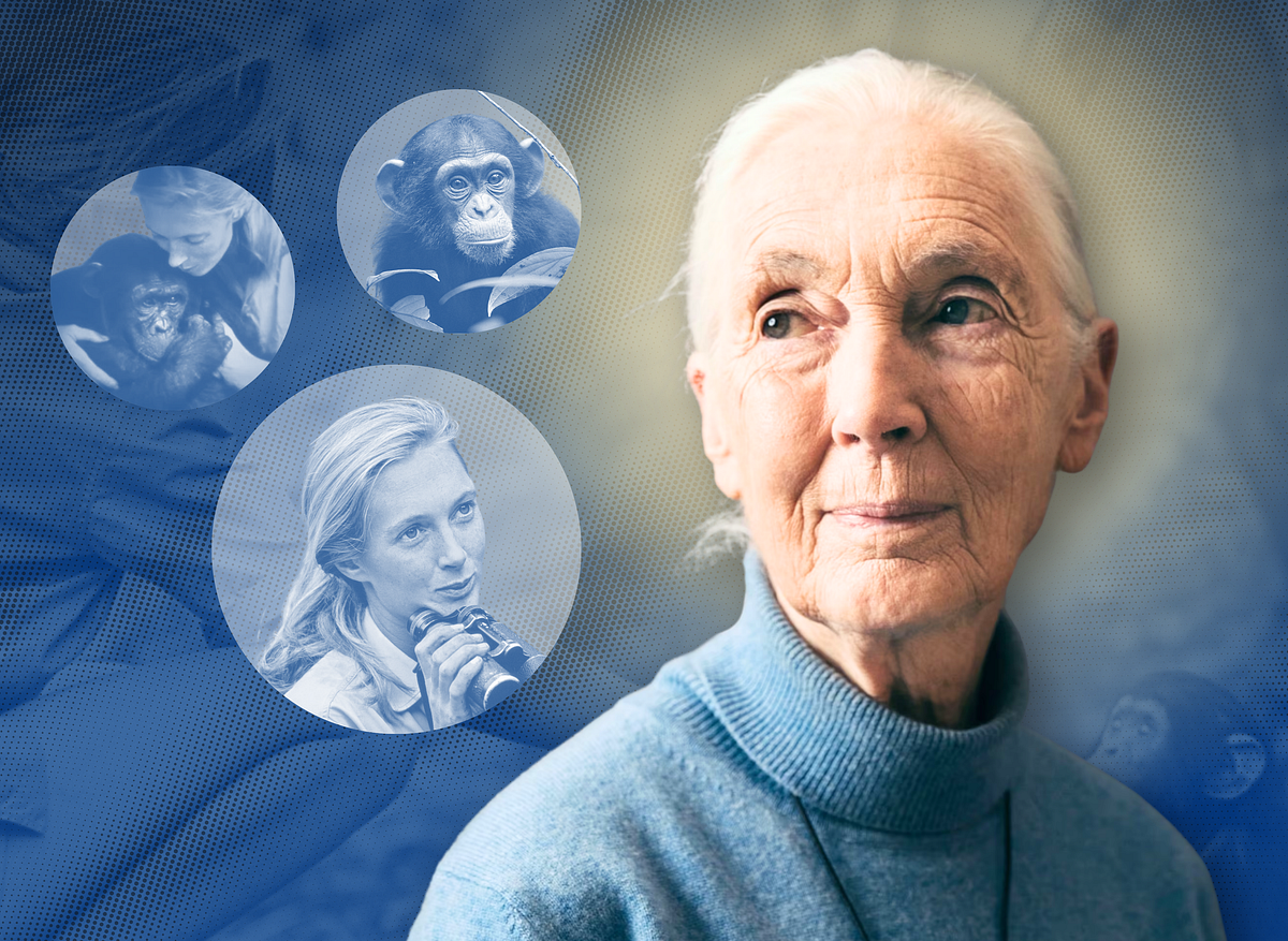 SCITECH | #ScienceSays: Jane Embodies the Good of it All | by UST ...