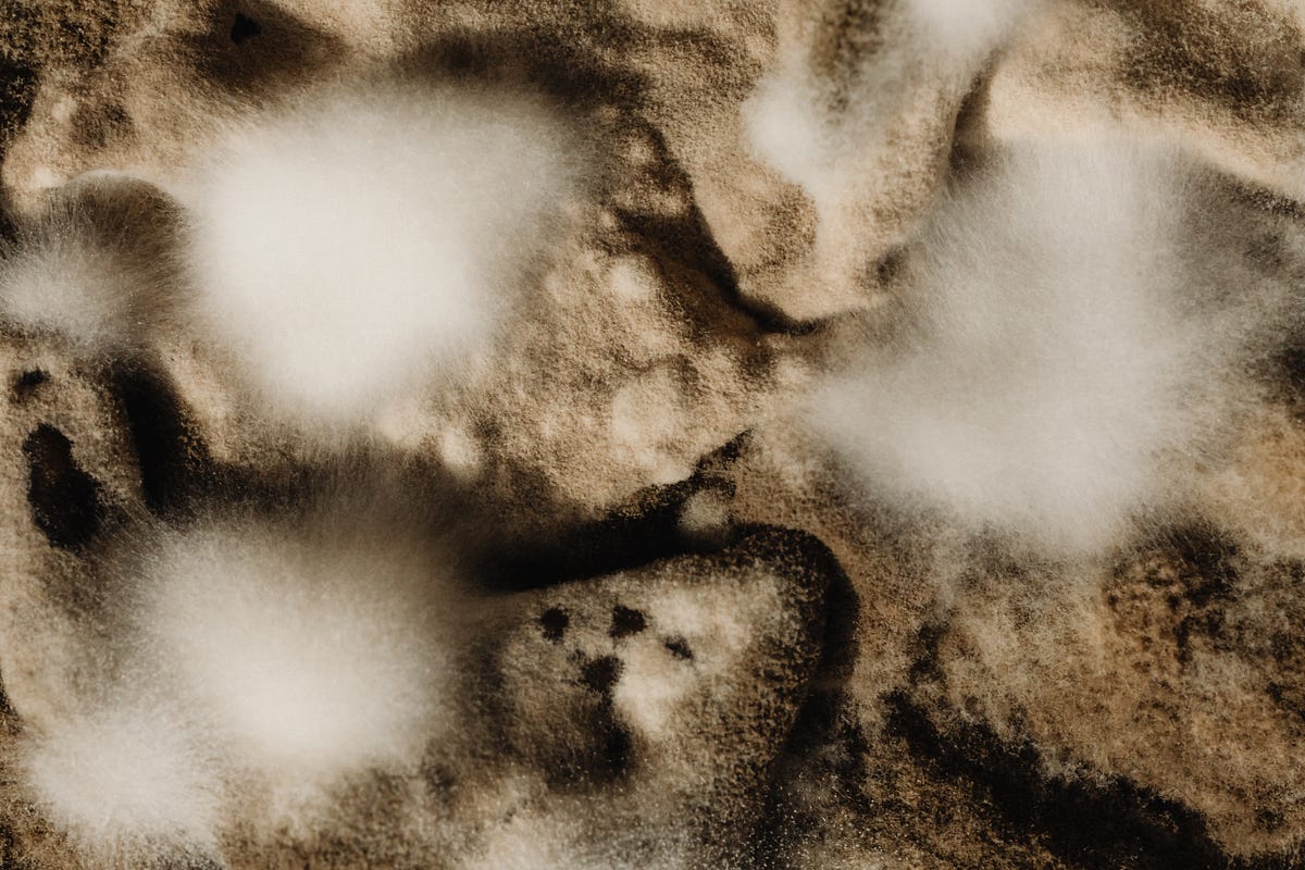 How to Build a Strong Brand Culture — and What Does Culture Actually ...