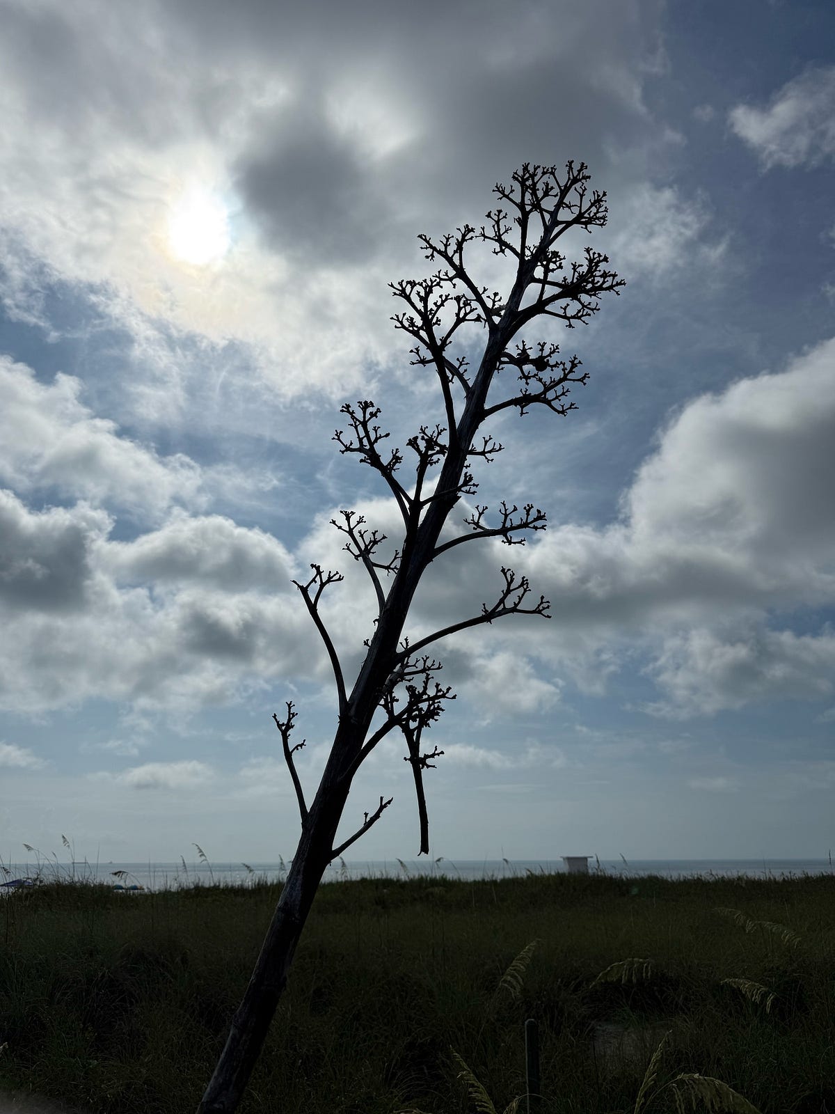 Book 7: Inevitable. From the Diaries of John Henry | by Nicholas Teague | From the Diaries of ...