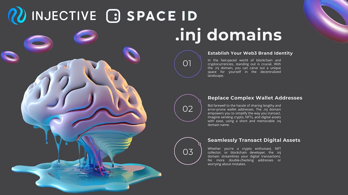 Introducing Native .inj Domains: Your Gateway to Web3 Identity | by @Diana2510g | Aug, 2023 | Medium