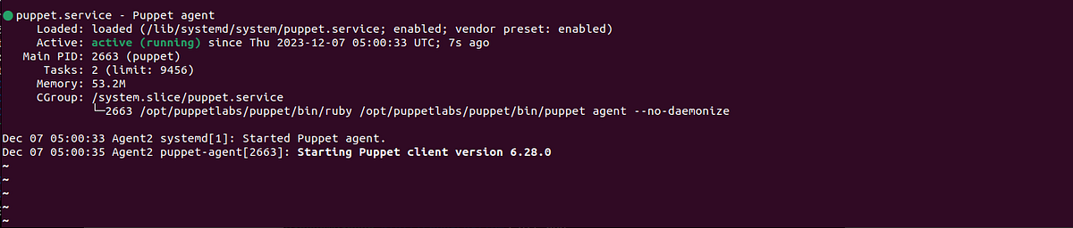 Setting up a Puppet master and two Puppet agents on Ubuntu | by Osanda ...