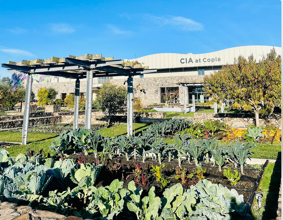 Cooking in Napa with CIA. Learn to cook and bake at the Cooking… | by ...