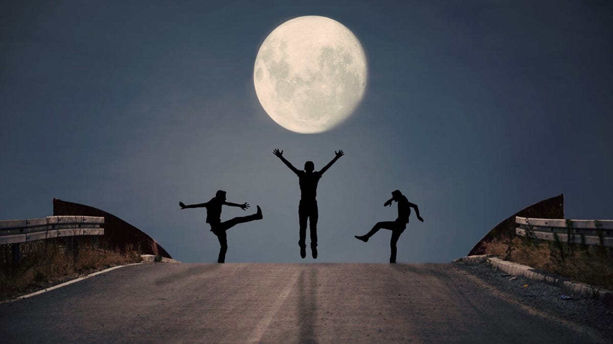 Building Data Science Teams. Three Roles Your Data Analytics Team… | by ...