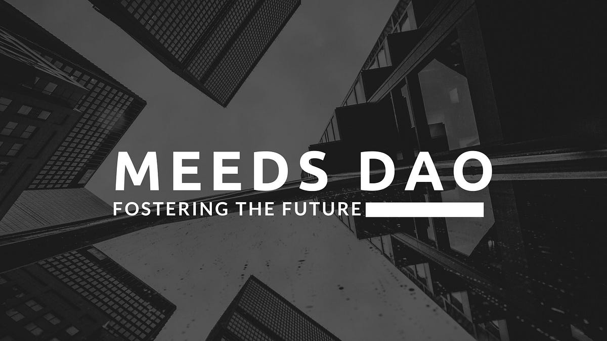 Fostering the Future: Strategies for Dynamic Work Engagement with Meeds ...