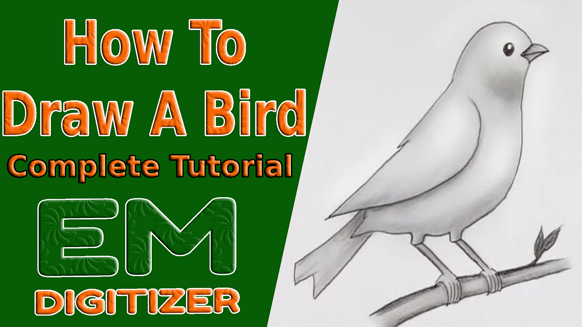 How To Draw A Bird — Complete Tutorial | by Emdigitizerblog | Dec, 2023 ...