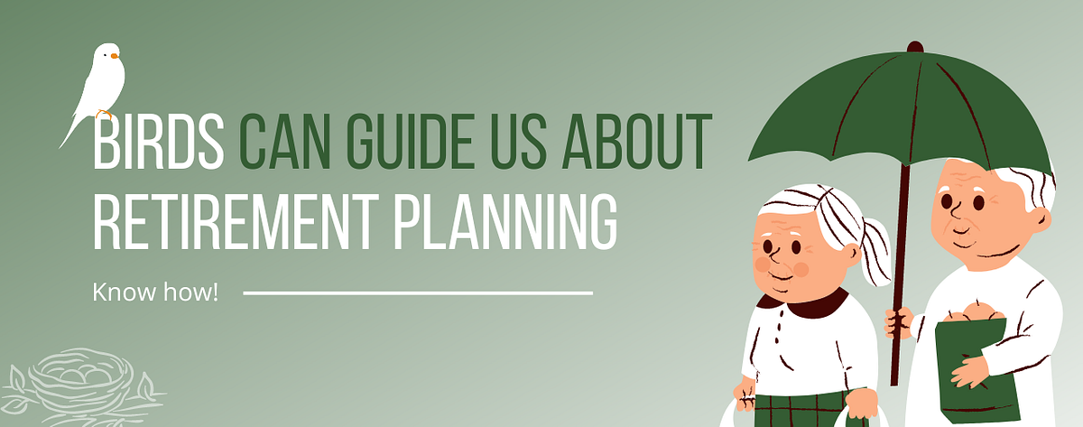 Birds can guide us about retirement planning — Know how! | by S9 ...