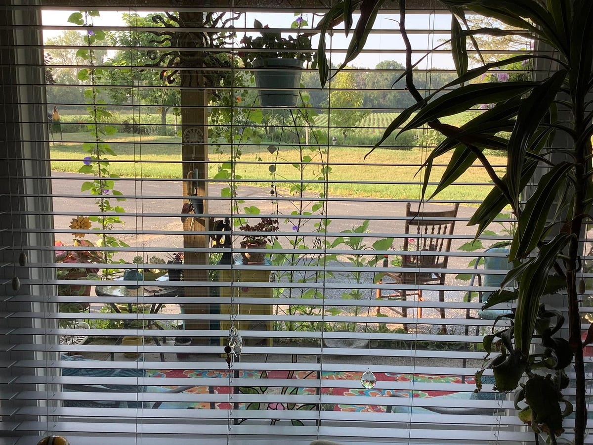 Heaven and Hell…. LOOKING OUT MY BACK WINDOW #313 | by David Geschke ...