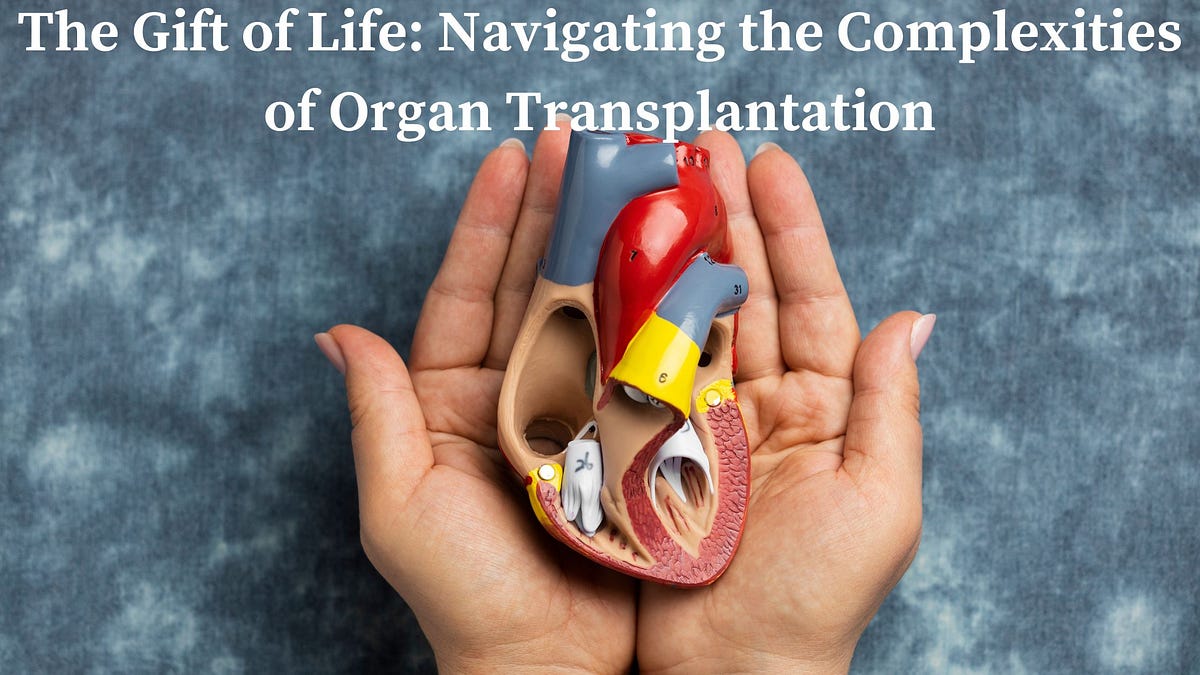 The Gift of Life: Navigating the Complexities of Organ Transplantation ...