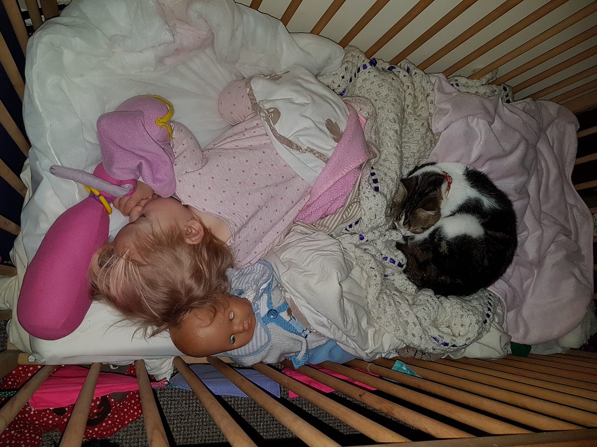 Poem: Mah!. Mah! Hugs for cats hidden in rugby… | by Ren Williams | Medium