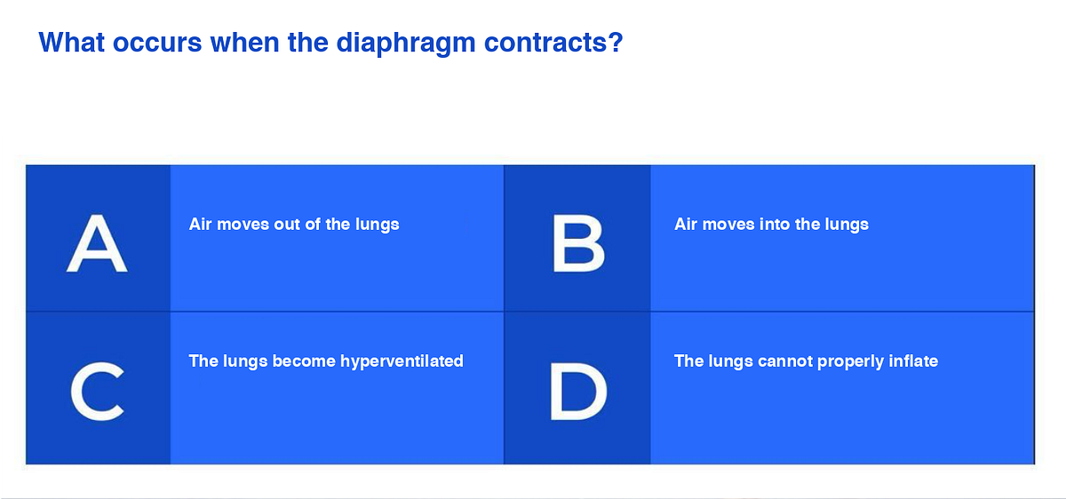 What Happens When the Diaphragm Contracts? Understanding Breathing ...