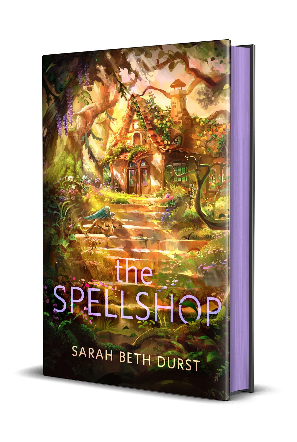 Download [PDF/BOOK]The Spellshop. The Spellshop | By Sarah Beth Durst… | by Kpef scih | Jun ...