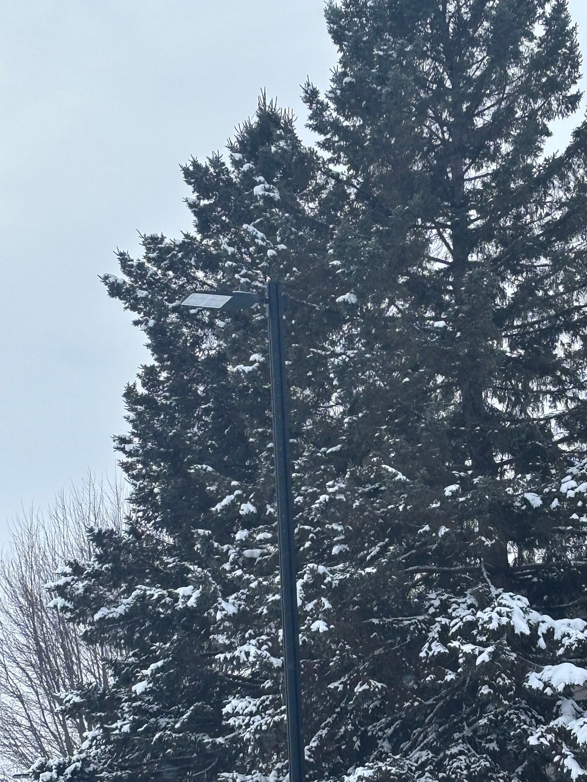 Capture the Cold. I took this photo leaving my apartment… | by Nyle ...