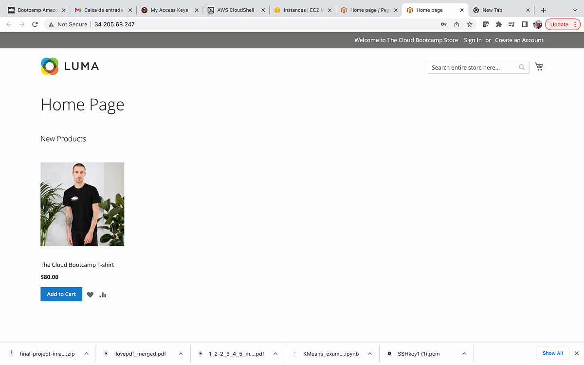 Implementation Of An E Commerce System On Aws In An Automated Way Using Terraform And Ansible In 8166