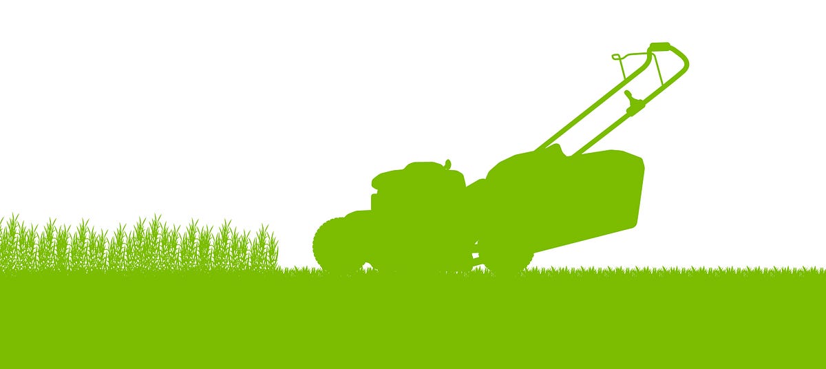 Writing Lessons from a Lawn Care Channel | by Andi Cumbo-Floyd | Jun ...