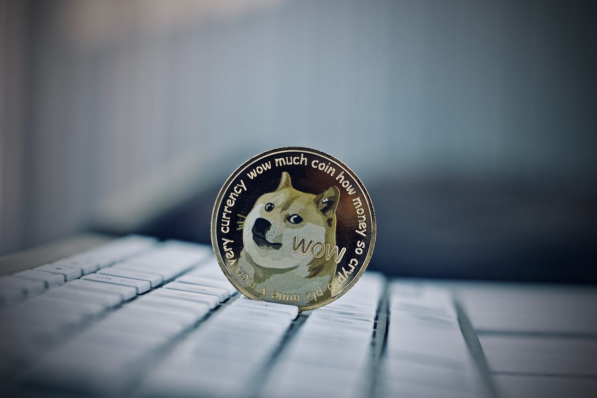 Dogecoin Tells The Story of Our Financial Despair in Real Time | by ...