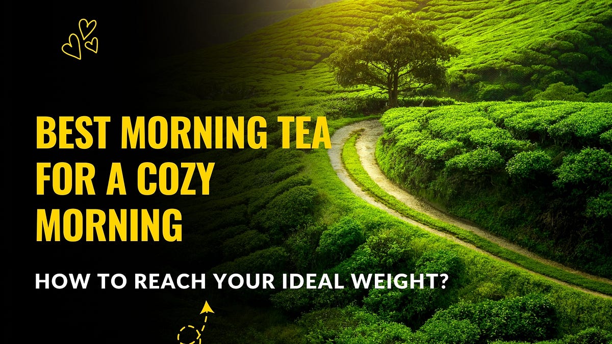Best Morning Tea for a Cozy Morning | by Hamner Betita | Jun, 2024 | Medium