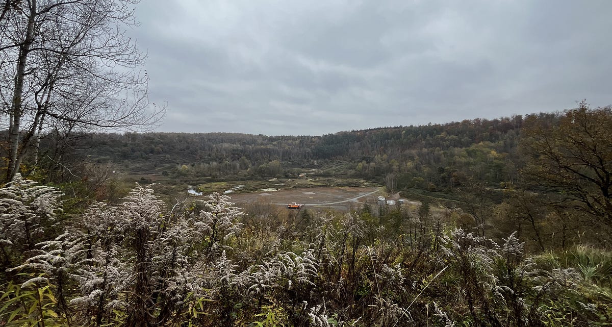 P3 Individual Week#3. Visiting Pit Messel | by Linus Ziesel | P3 & P5 ...