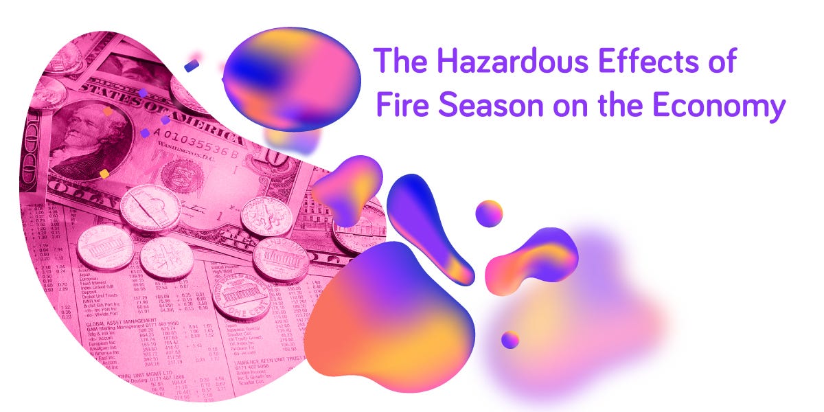 The Ways in Which Fire Season Affects the Economy | by IXFI Gen 3.0 ...