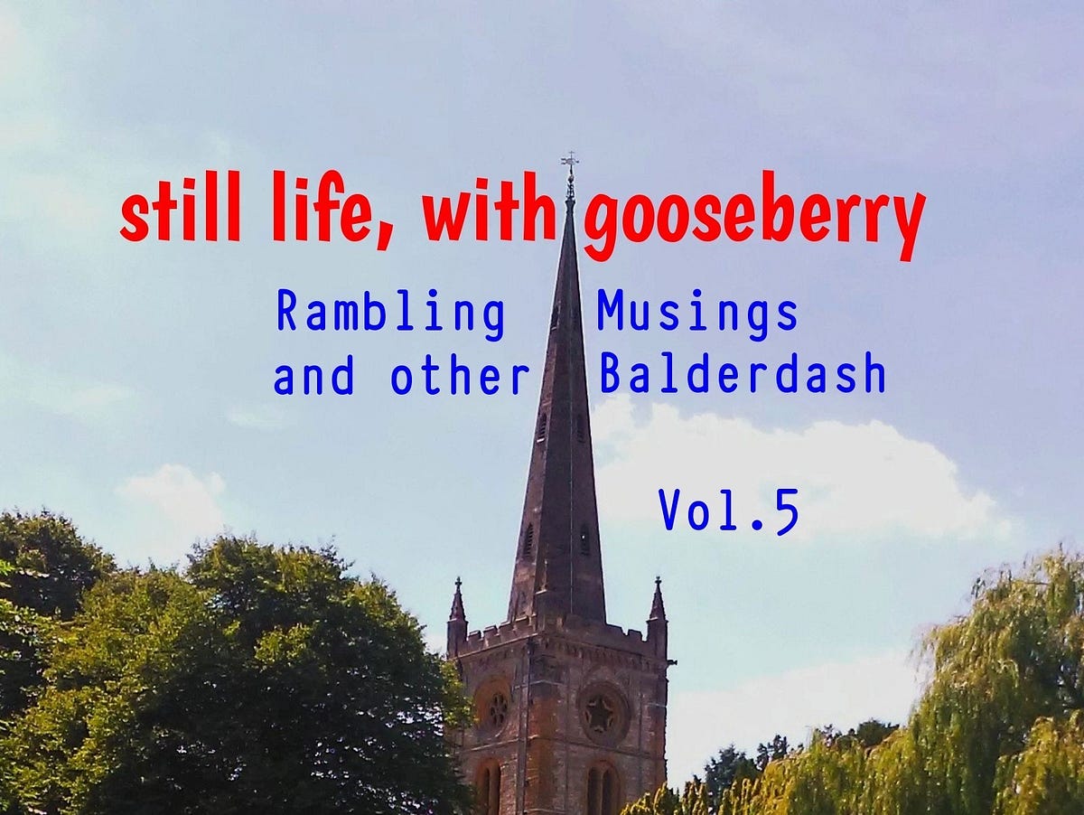 “still life, with gooseberry” — OUT NOW! | by Stephen Blackford | Dec ...