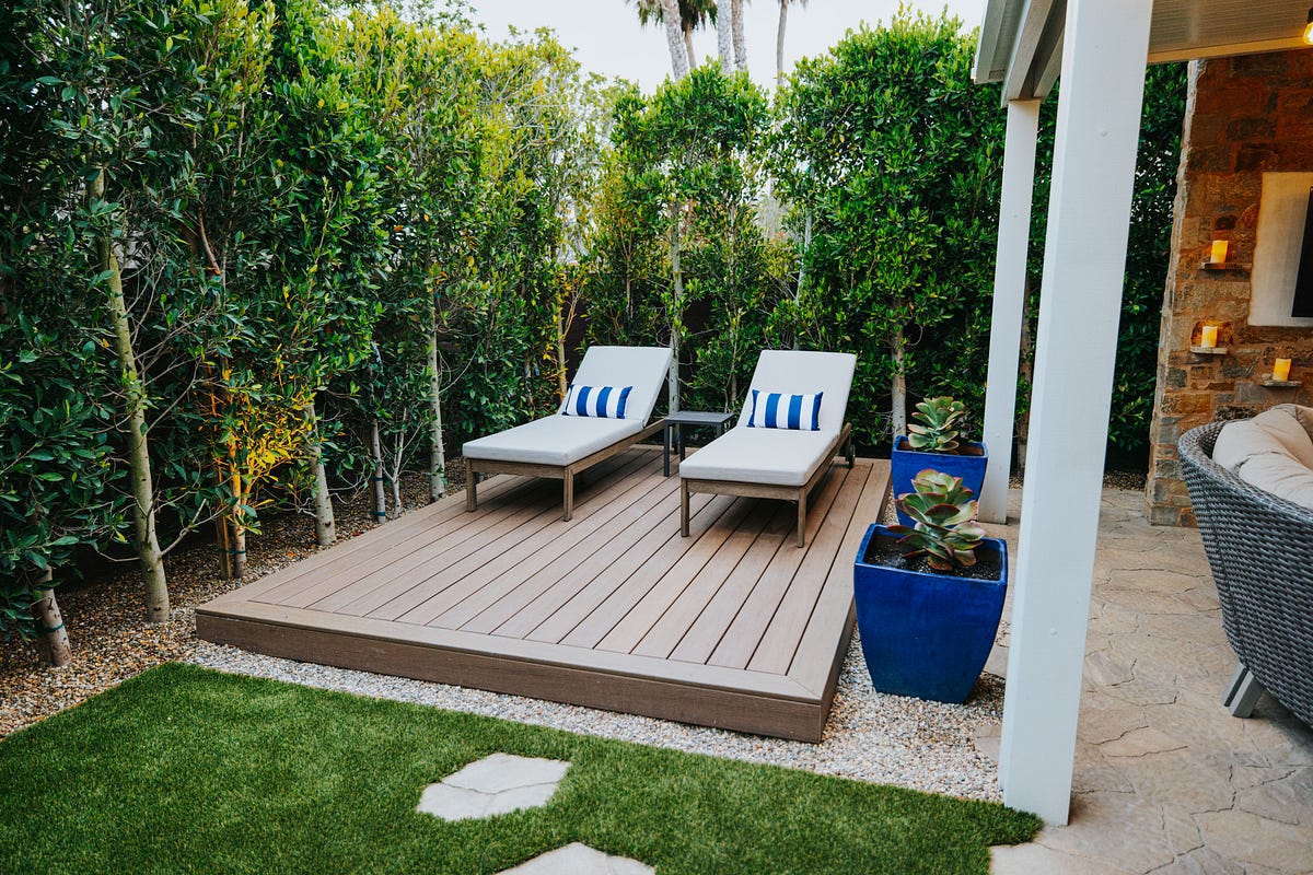 Best Privacy Hedging for your Yard | by ALDIA OUTDOOR DESIGN | Medium