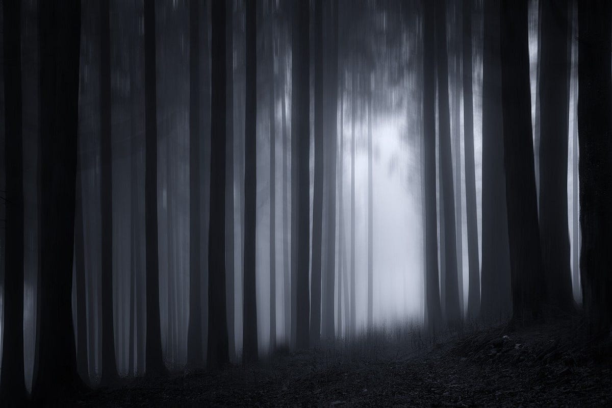 Dimensions: Episode 1. Episode 1: The Fog Approaches | by Ryan Young ...