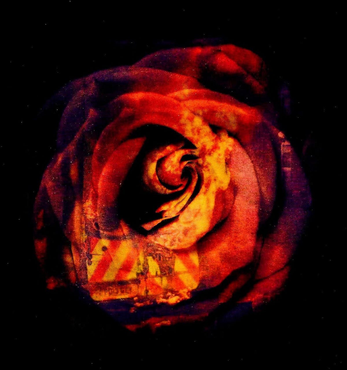 THE THUGGEES. IMAGES OF THE ENGLISH ROSE | by david bennett | Medium