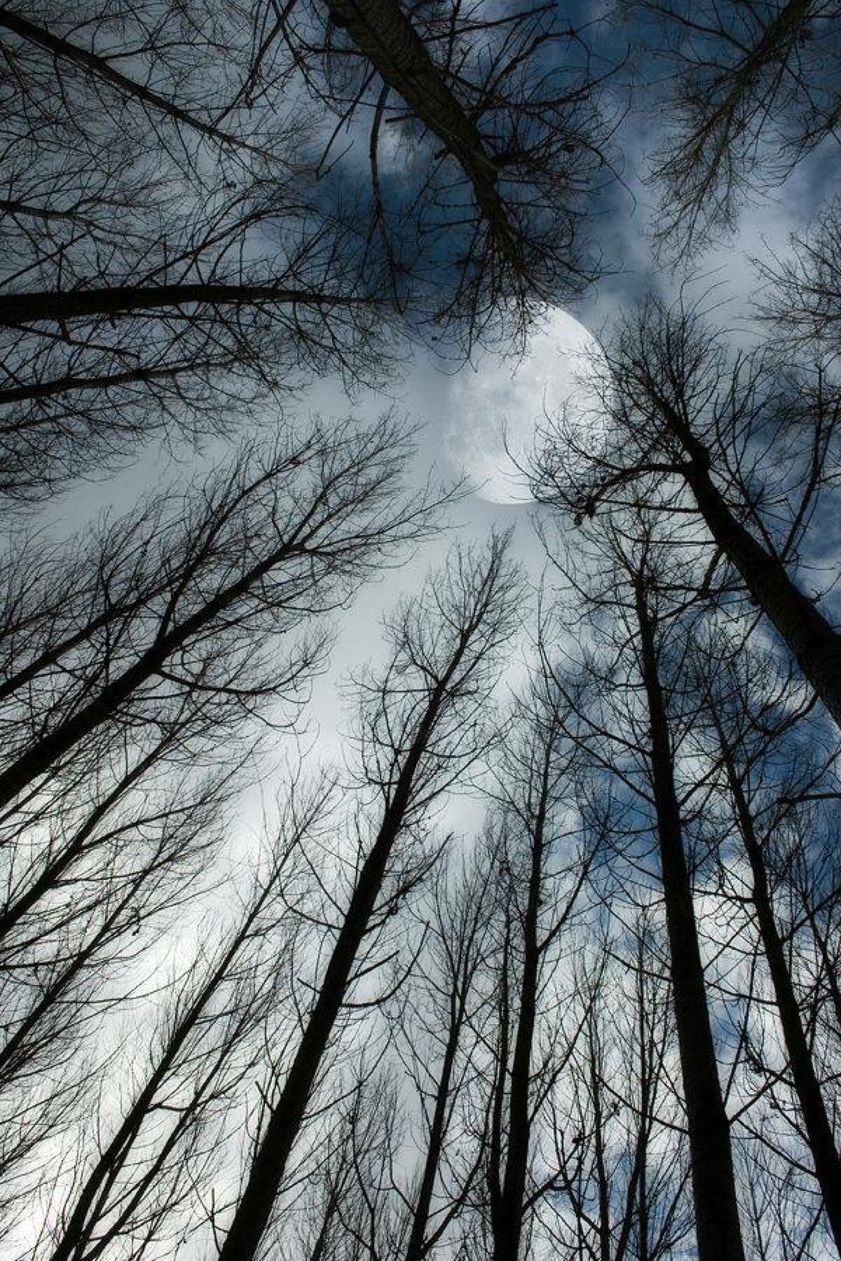 Contemplative Silence — The Art of Tapping Into Our Source of Inner ...