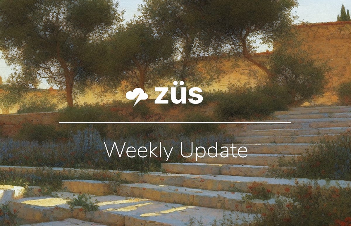 Züs Full Testing | Weekly Debrief — February 15, 2023 | by Tiago Souza ...