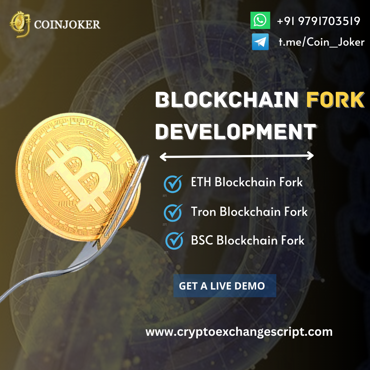 Understanding the Basics of Blockchain Fork Development | by AbirSteve | Medium