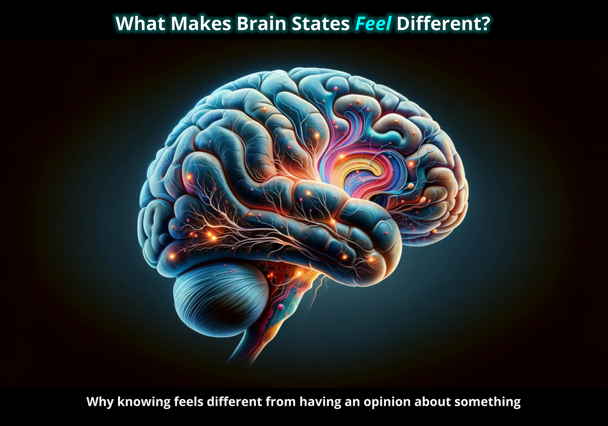 Why Brains States Feel Different: A Late Night Conversation with ...