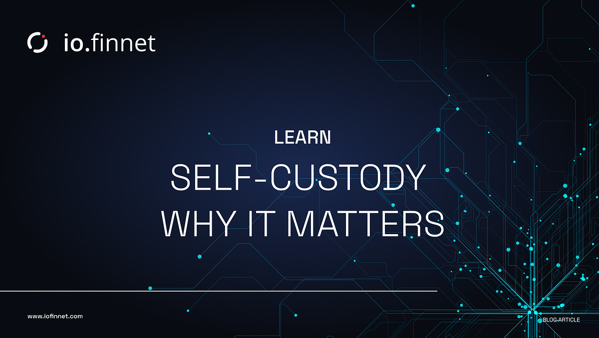 Essential tips on self-custody & keeping your assets safe | by io ...