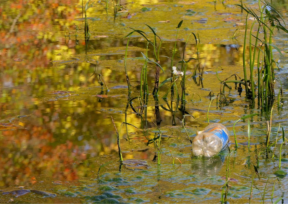 The Cost of Carelessness | by Toluwani David-King | Apr, 2025 | Medium