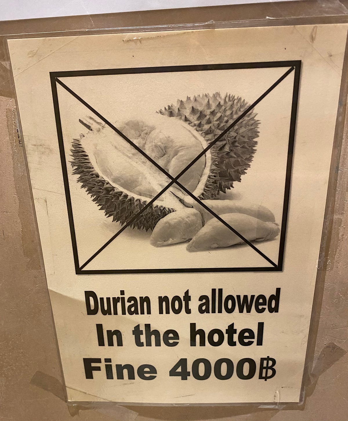 Durian, The Hated Fruit. For those of us outside of the tropics… | by ...