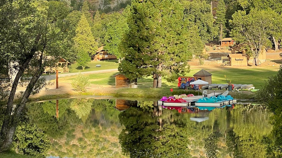 Welcome to Alpha Camps.. Remember that feeling you had when you… | by Alpha Camps | Medium