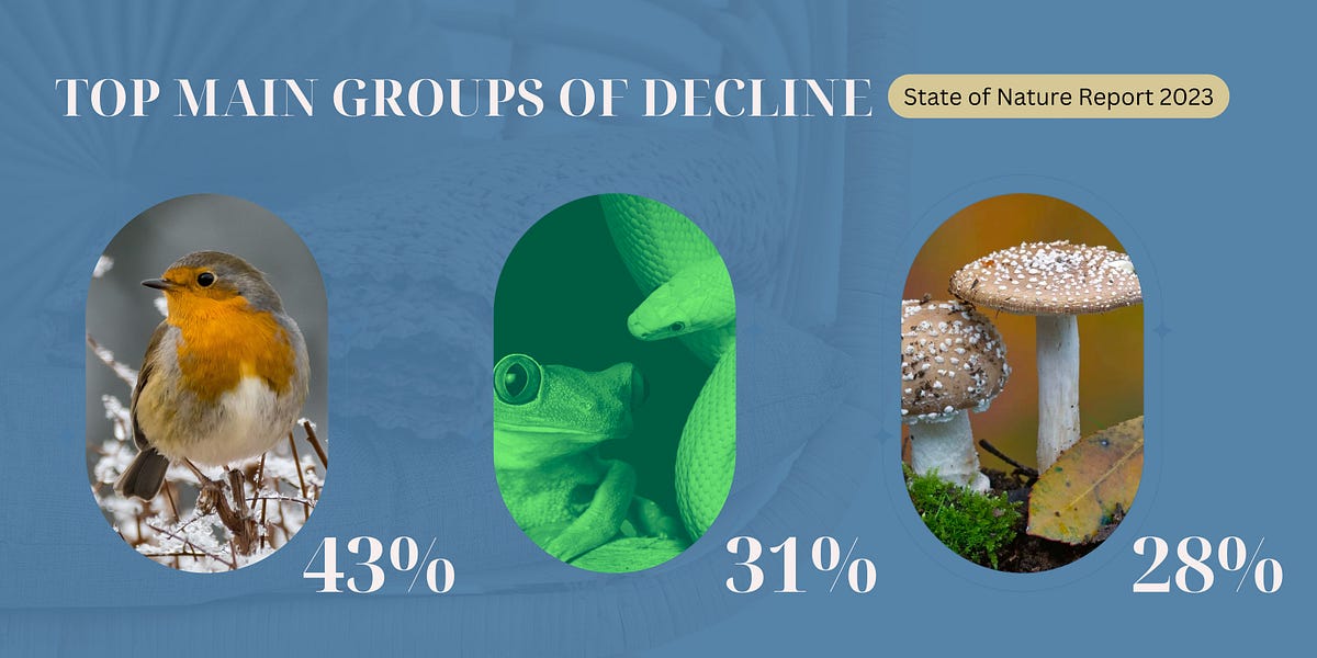 The State of Nature report reveals: UK’s wildlife continues to decline ...