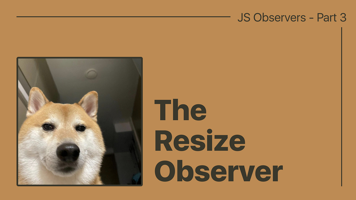 All You Need to Know About Resize Observer in 6 Minutes | by Akilesh ...