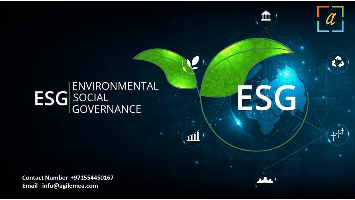ESG CONSULTING MARKET. As organizations change their business… | by Esgconsultantintern | Sep ...