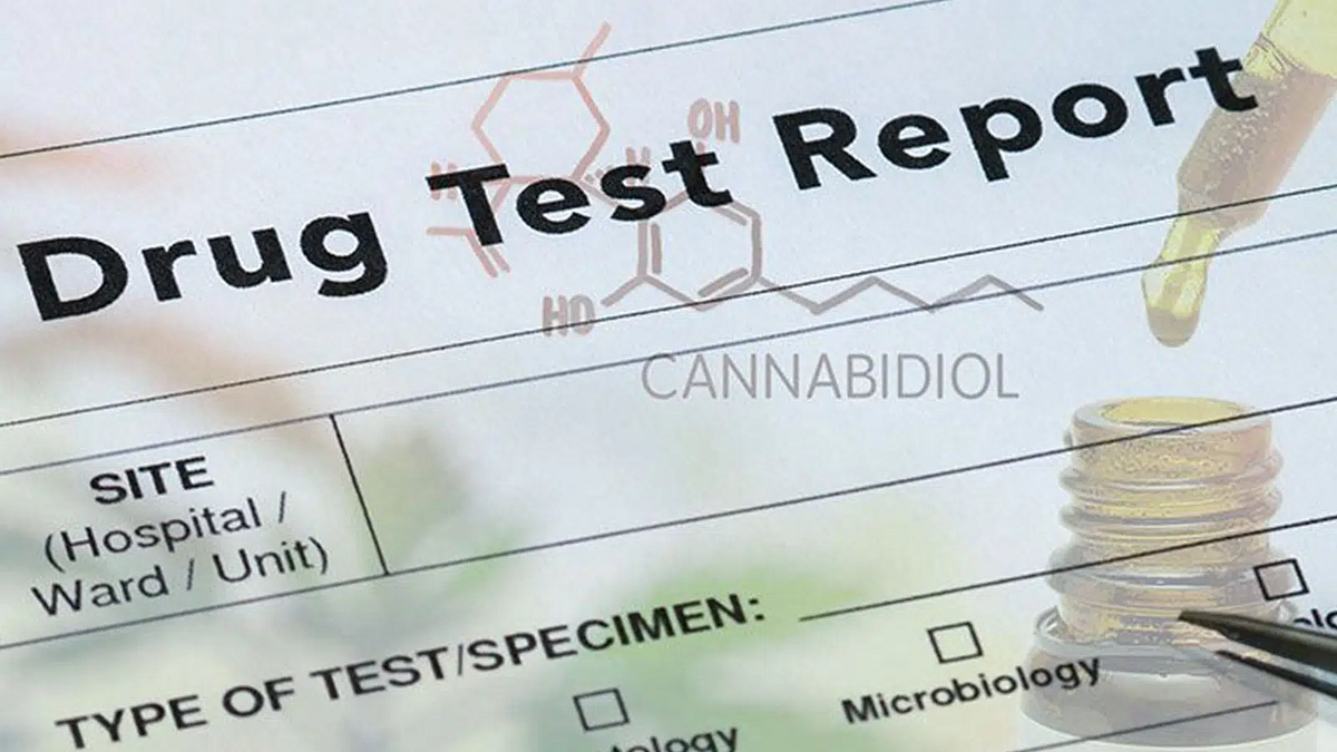 6 Advantages of Drug Screening for Job Applicants | by Surescreening LLC | May, 2024 | Medium