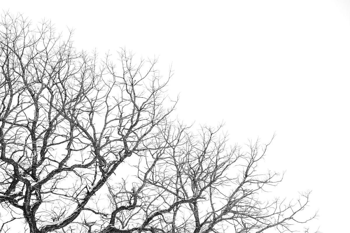 Javascript Abstract Syntax Tree Have You Heard Of Javascript Ast Its 5768