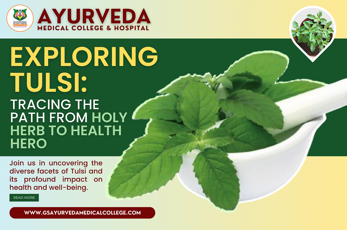Exploring Tulsi: Tracing the Path from Holy Herb to Health Hero | by GS ...