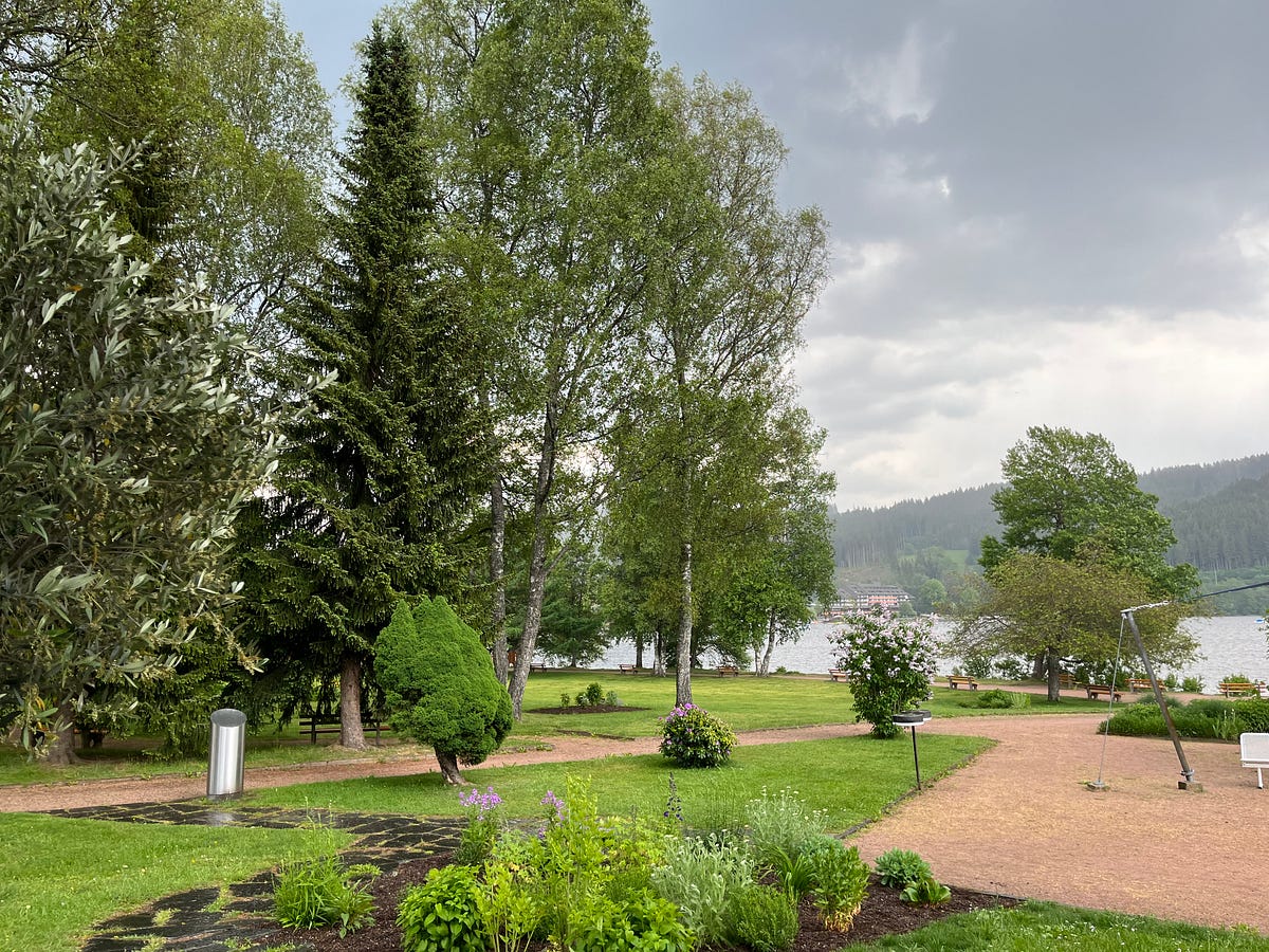 Sustainable Greenery: In Freiburg and Beyond | by Brian Fong ...