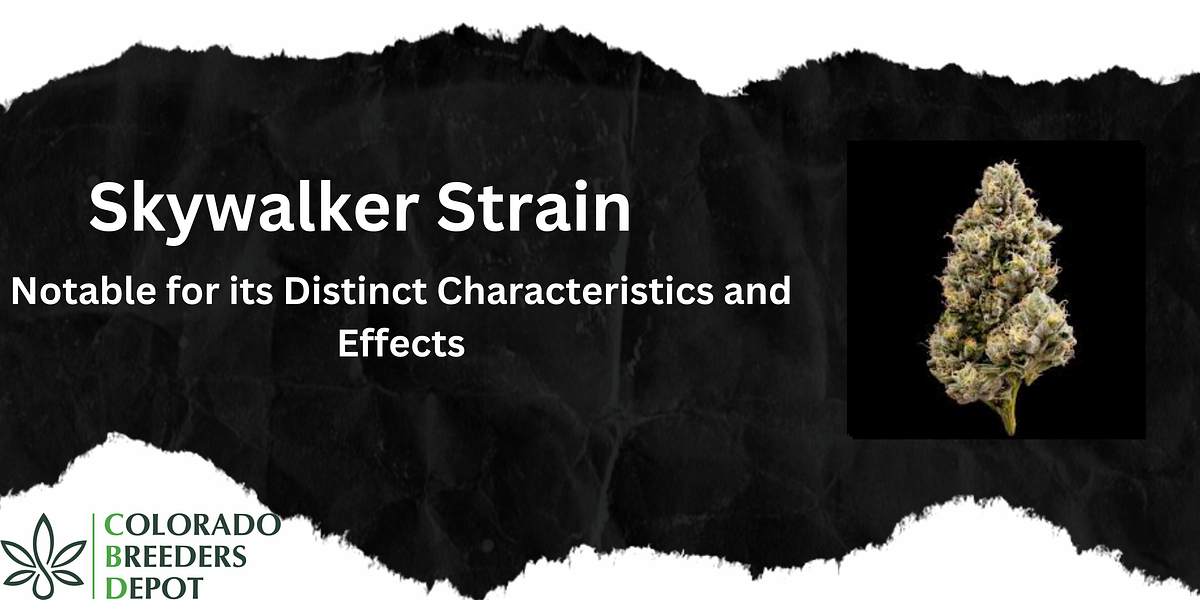 Understanding Skywalker Strain: Potency, Effects, and Availability | by ...